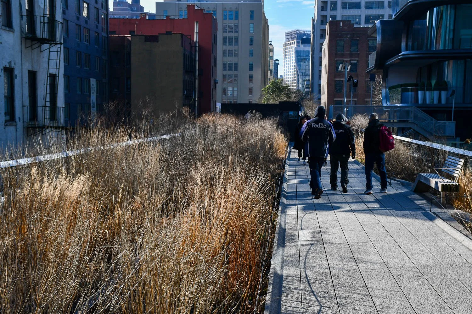 Lessons from the High Line in Winter | Meristem