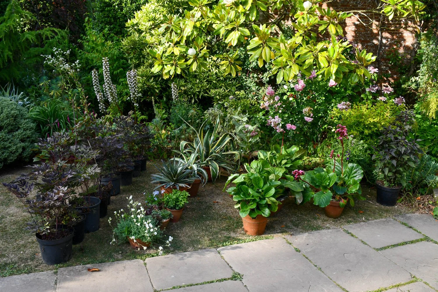 An Evening Stroll at Great Dixter | Meristem