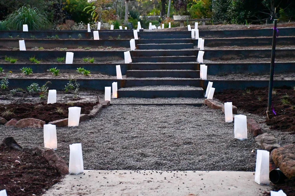 The Grand Opening of the Plantery Trial Garden | Meristem