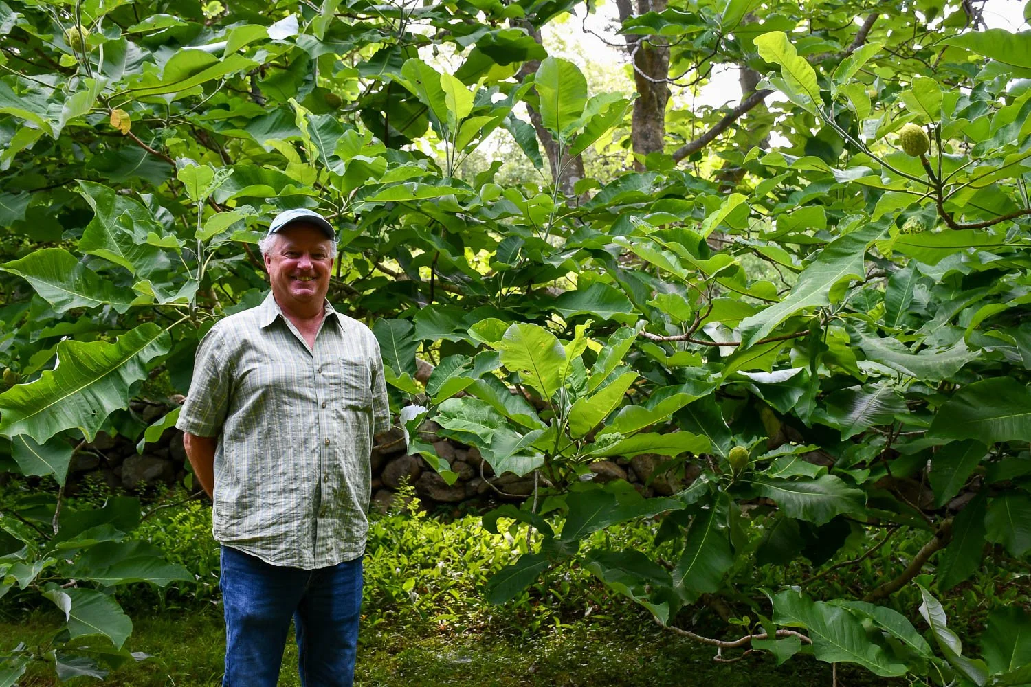 plant•ed blog by Dr. Jared Barnes | Meristem
