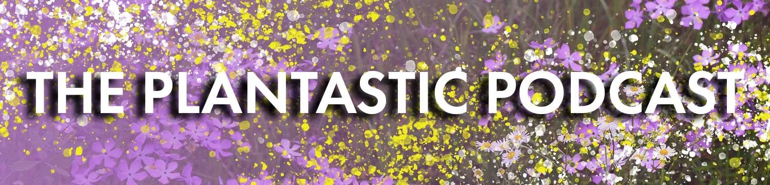 The Plantastic Podcast | Meristem