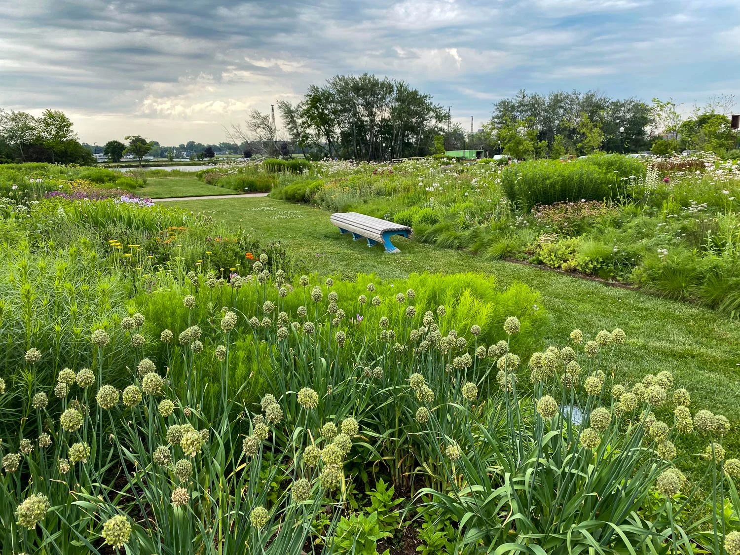plant•ed blog by Dr. Jared Barnes | Meristem