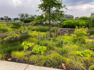 What is Matrix Planting? | Meristem