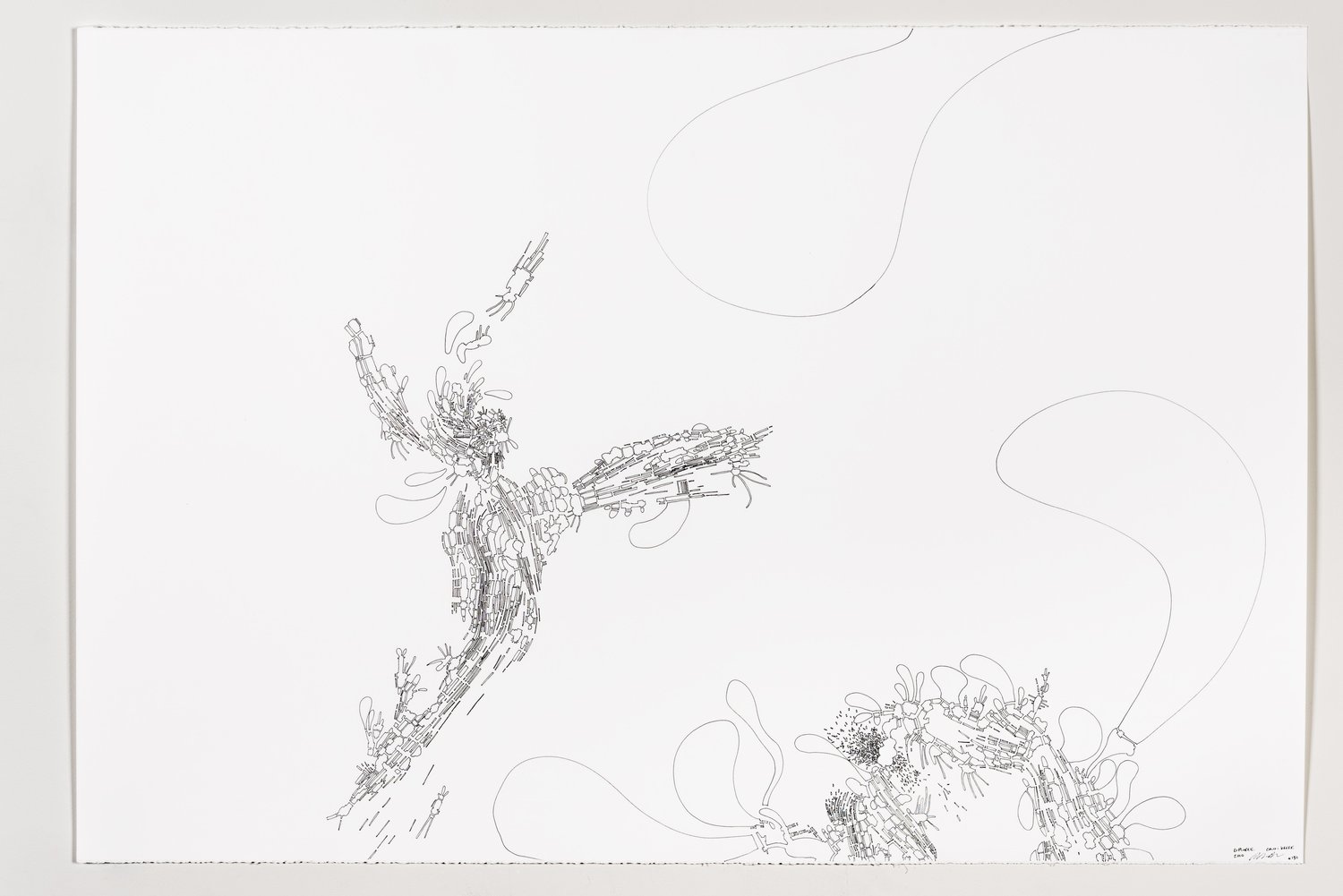 Colleen Keefe - Large Drawings - Cities - Maps - Biology - Evolution ...