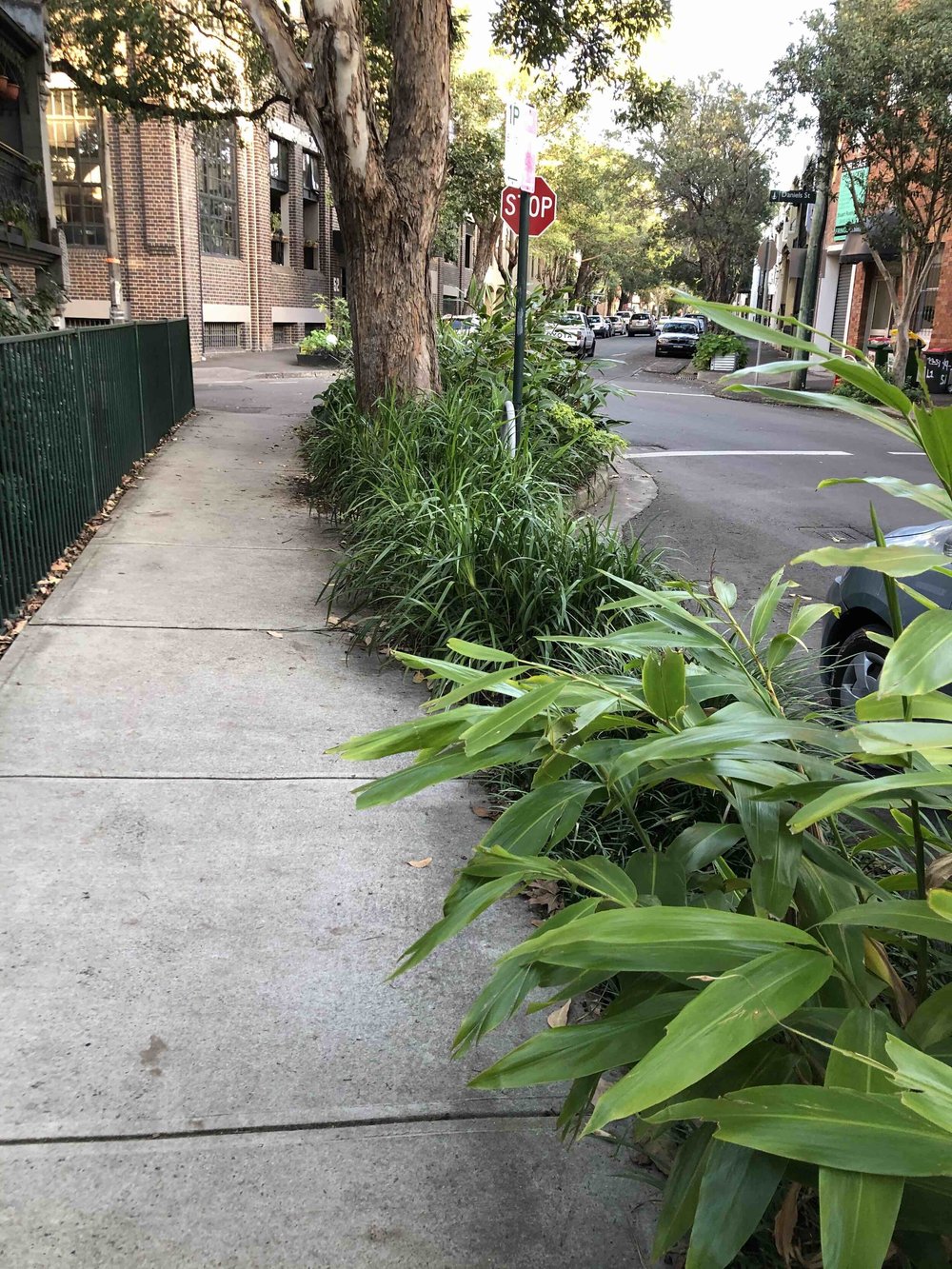 How to get safer cheaper footpaths - prevent trip hazards — Michael ...