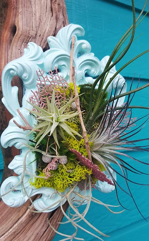 Living Walls, Vertical Gardens, Plant Walls, Moss Walls, Green Walls ...