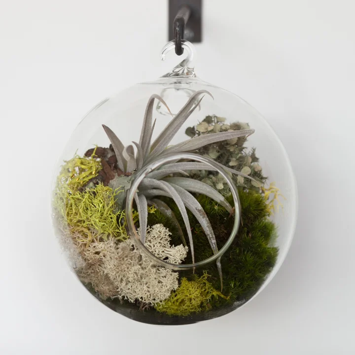 Articulture Originals — Articulture Designs