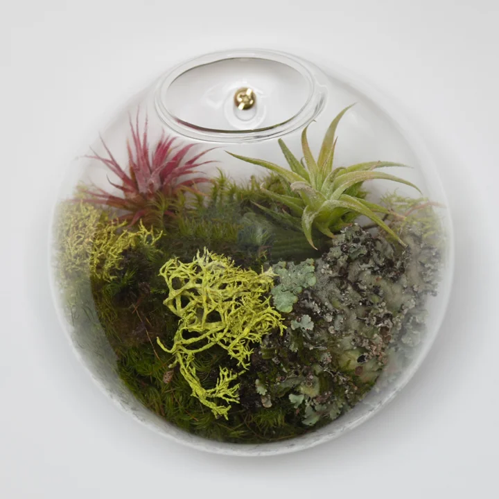 Articulture Originals — Articulture Designs