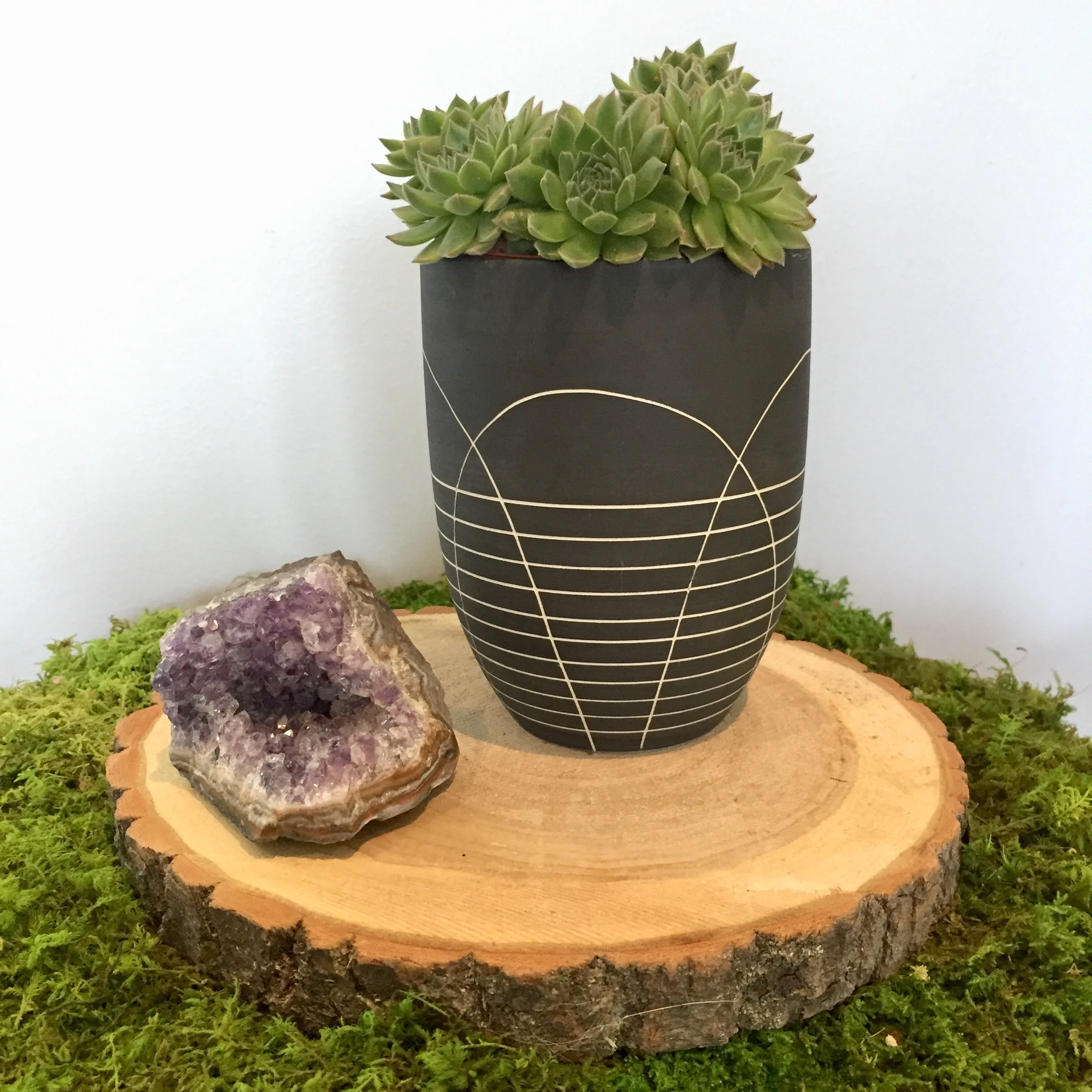 Online pots, planters, vases shipped to your door. Modern succulent ...