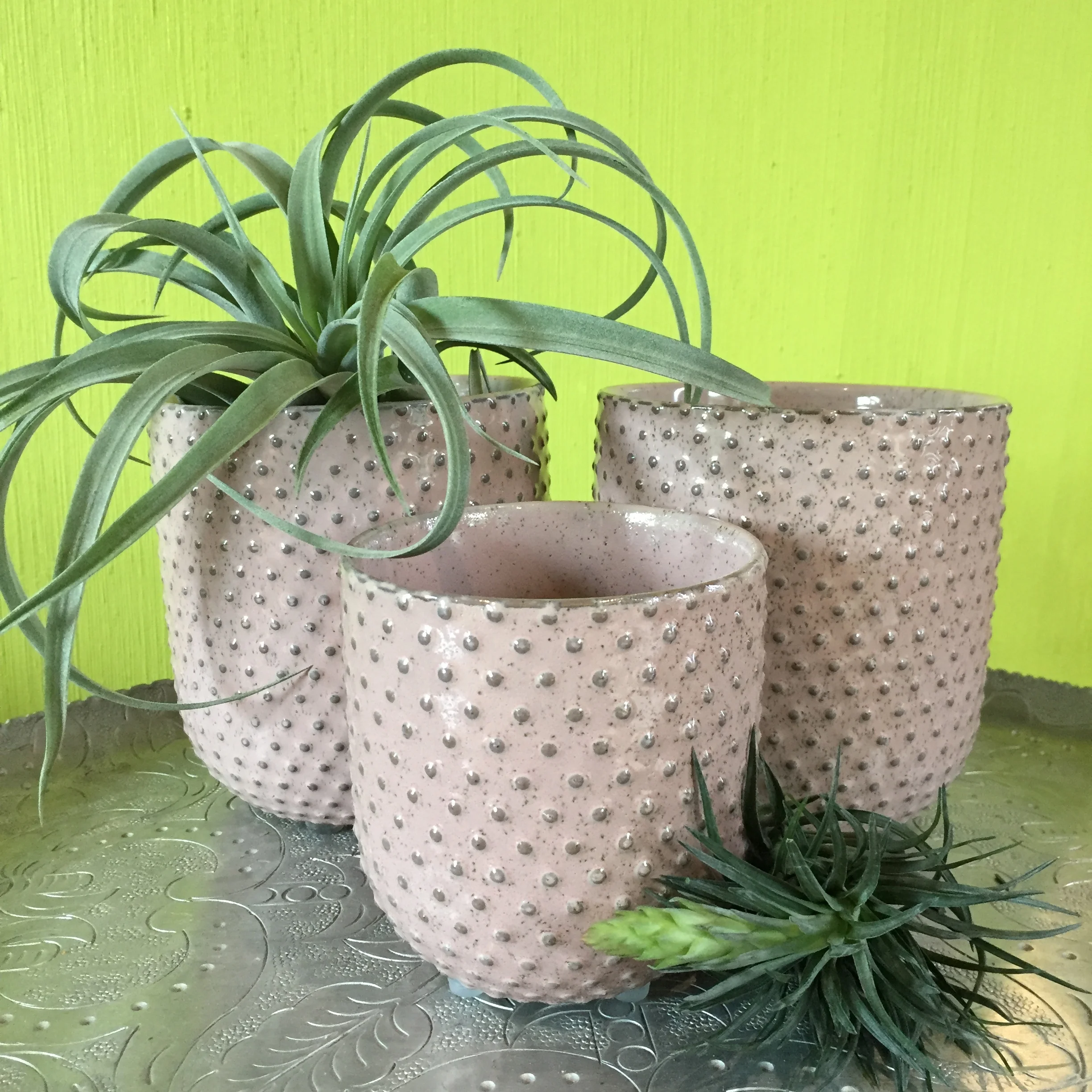 Online pots, planters, vases shipped to your door. Modern succulent ...