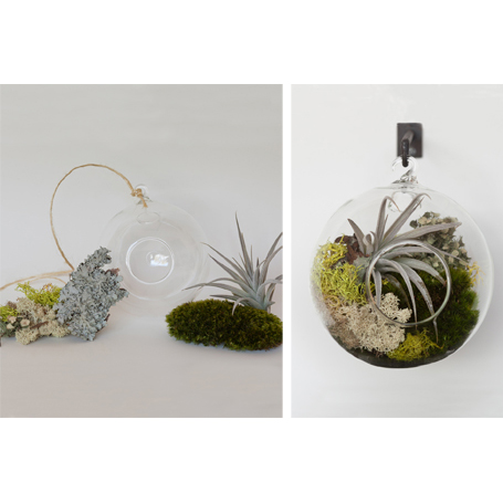 DIY Kits & Materials — Articulture Designs