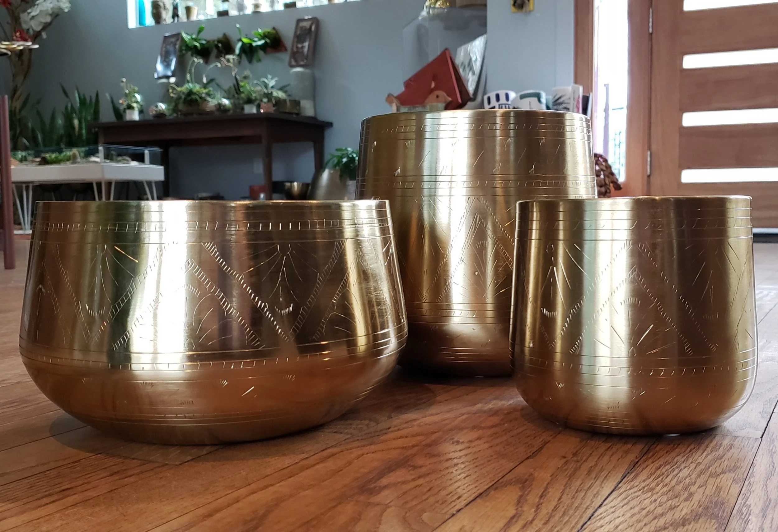 Online pots, planters, vases shipped to your door. Modern succulent ...
