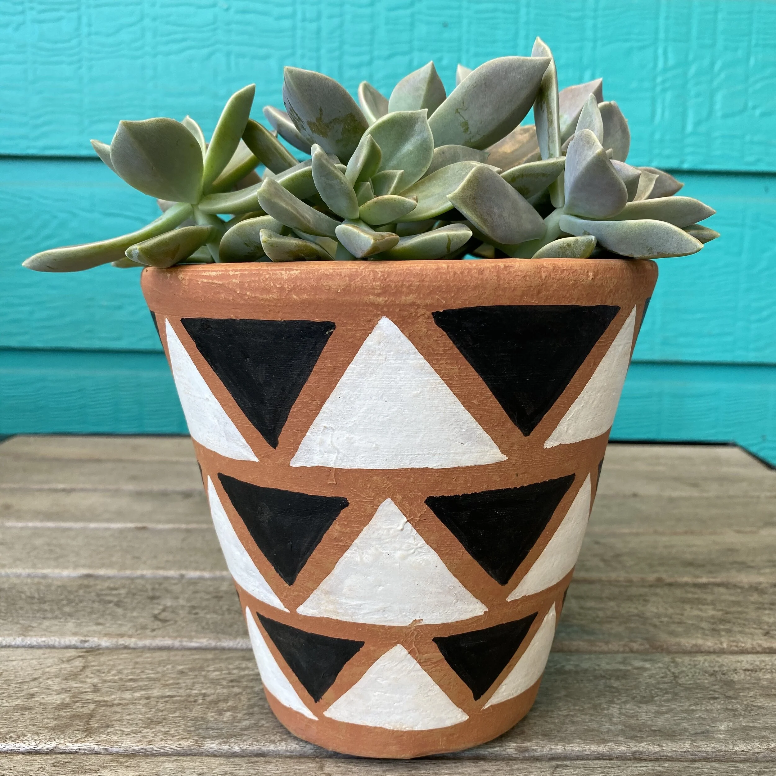 Online pots, planters, vases shipped to your door. Modern succulent ...
