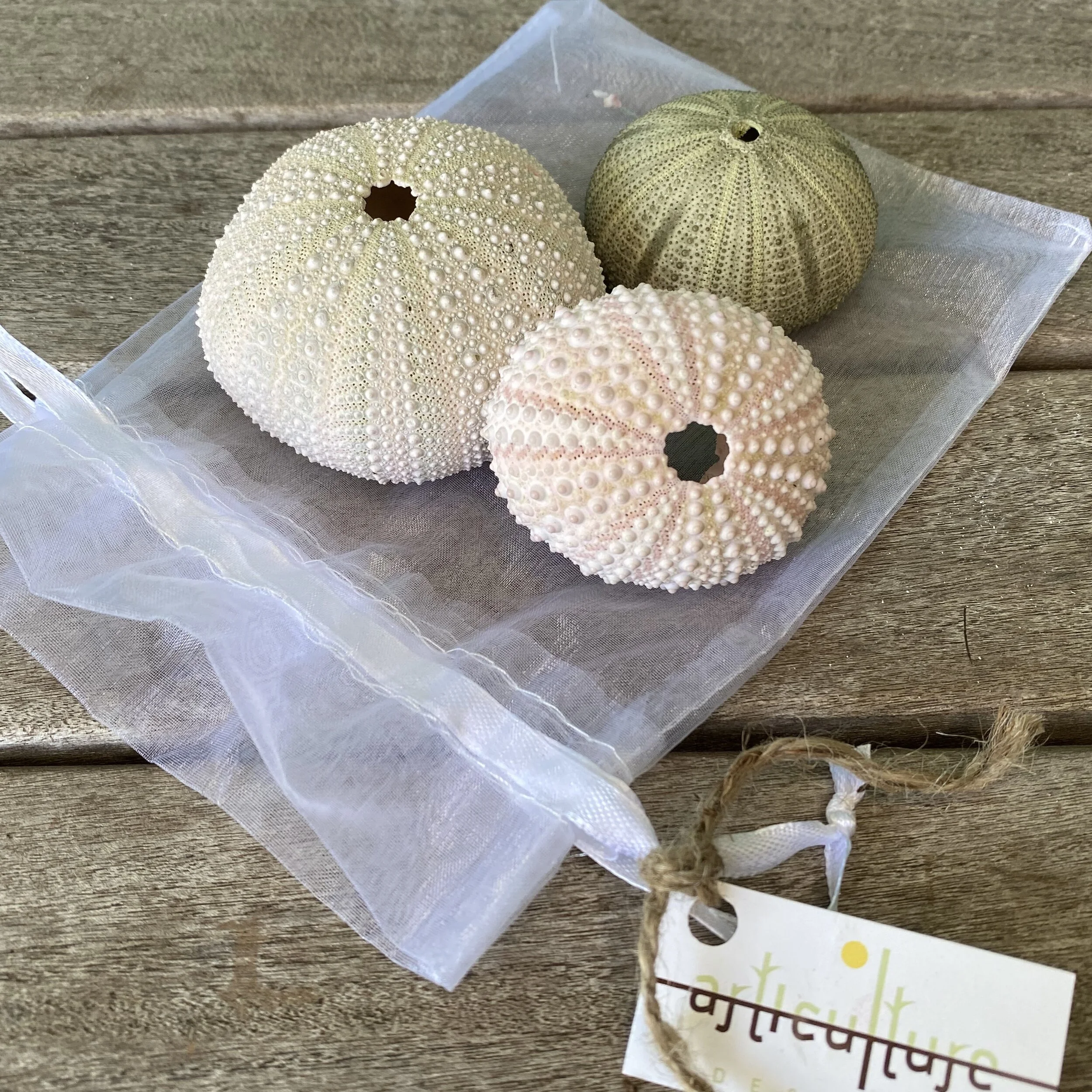 DIY Kits & Materials — Articulture Designs