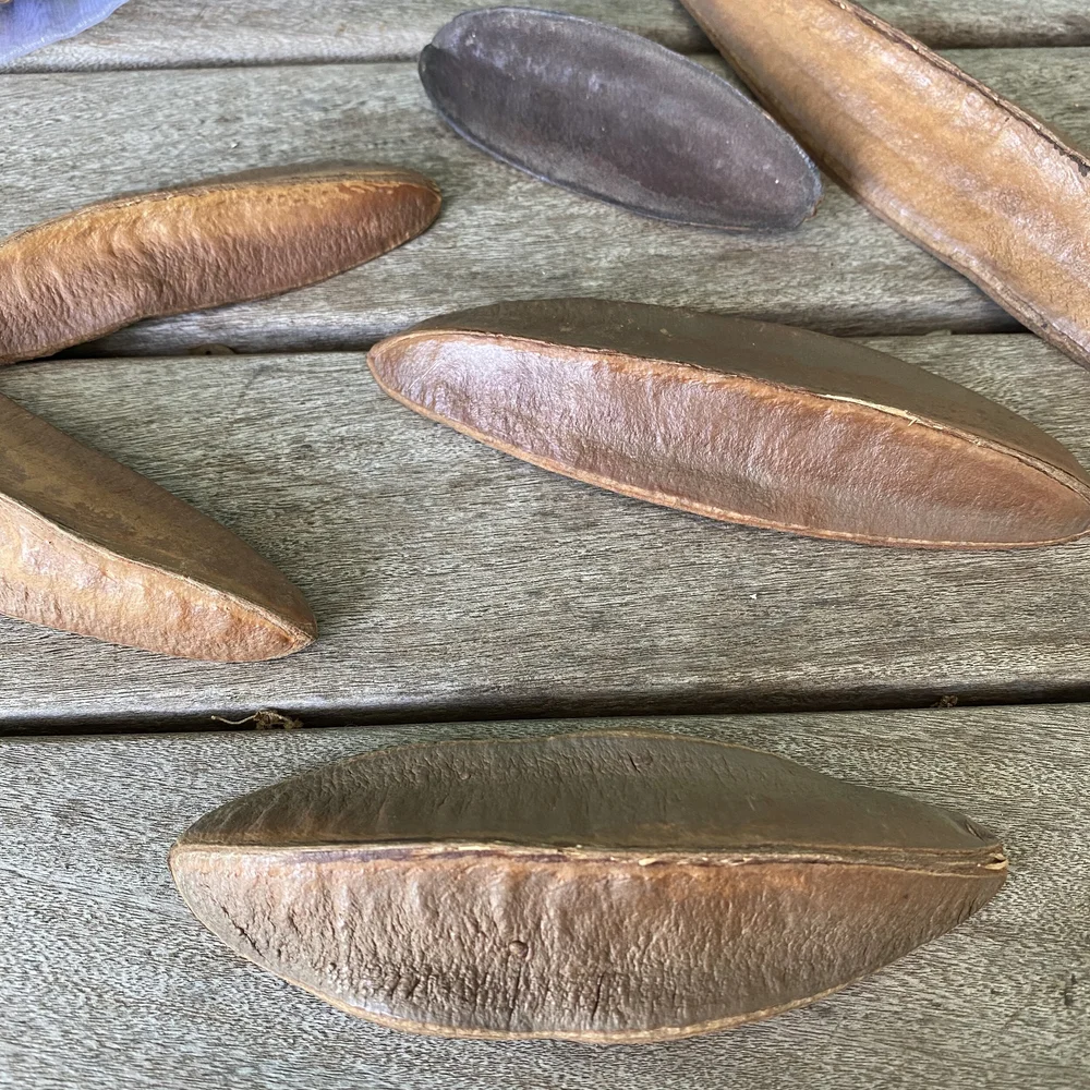 Canoe Shape