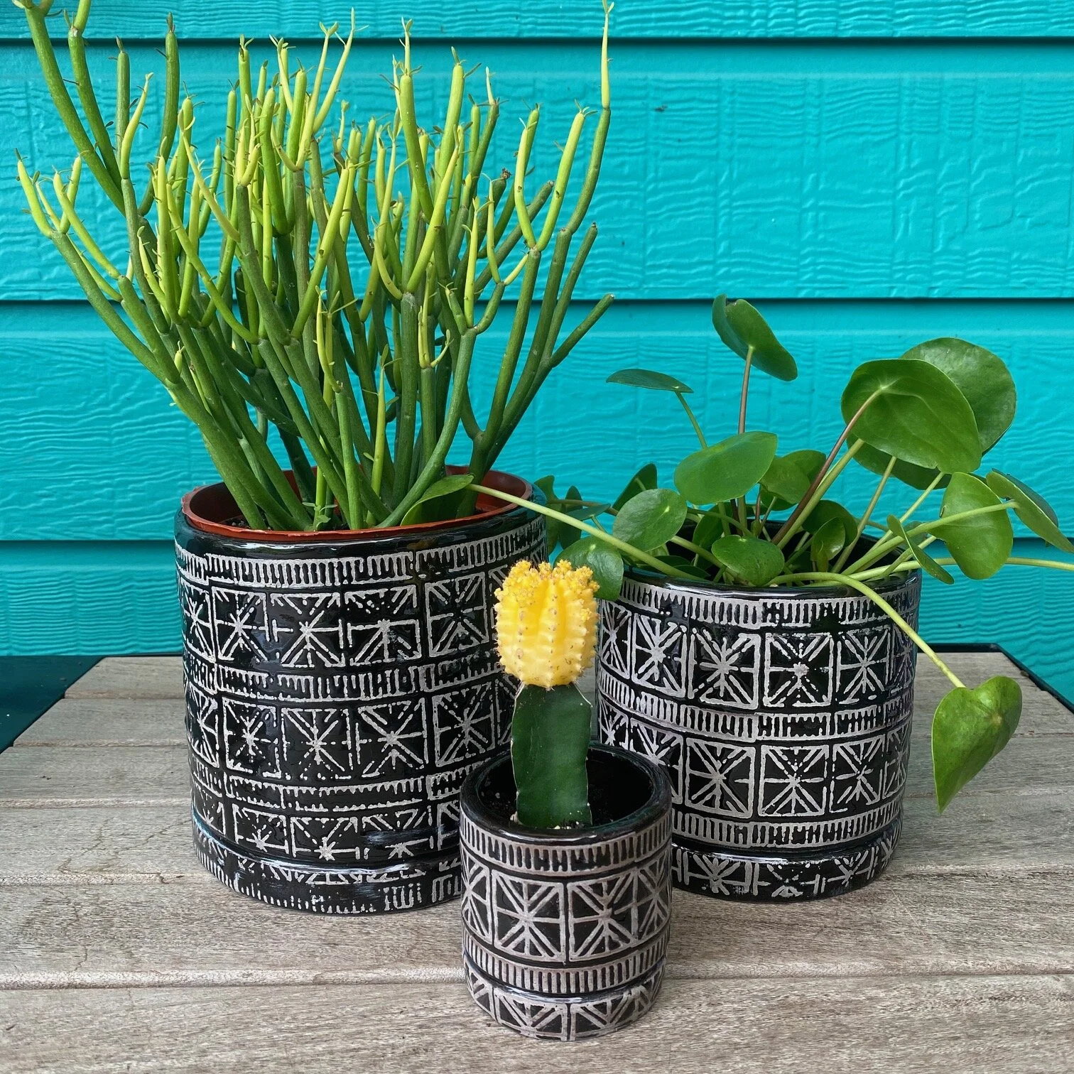 Online pots, planters, vases shipped to your door. Modern succulent ...