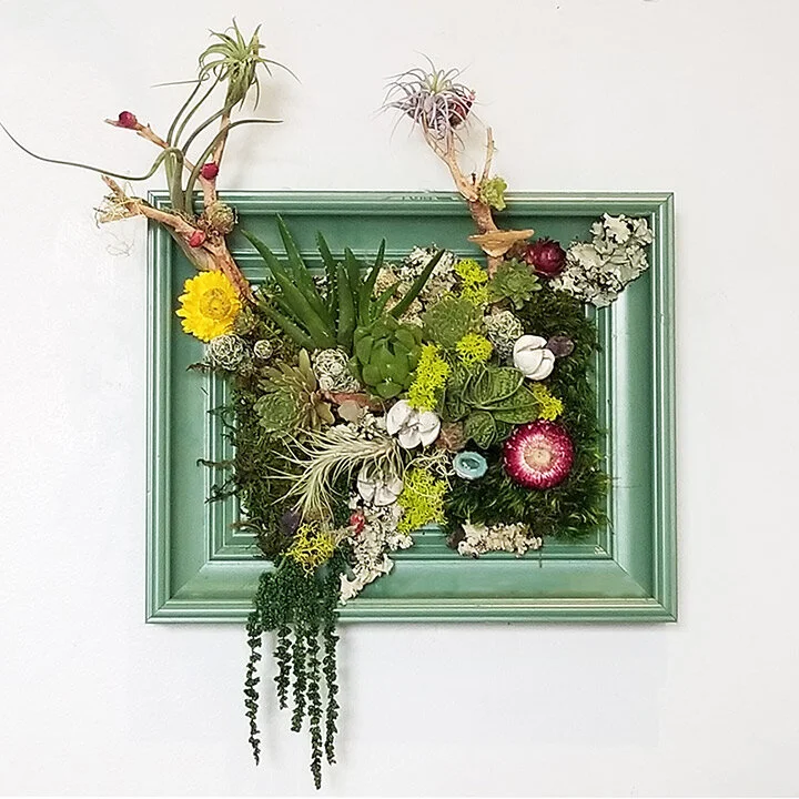Diy Living Wall