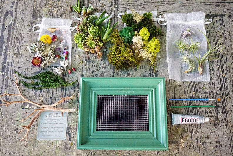 DIY Kits & Materials — Articulture Designs