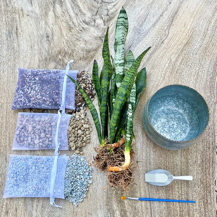 DIY Kits & Materials — Articulture Designs