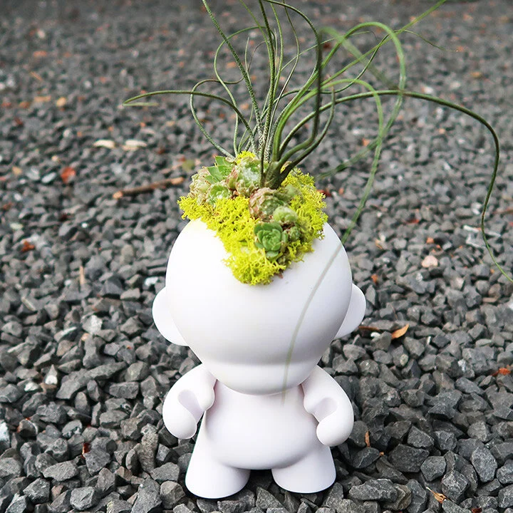 DIY Kits & Materials — Articulture Designs