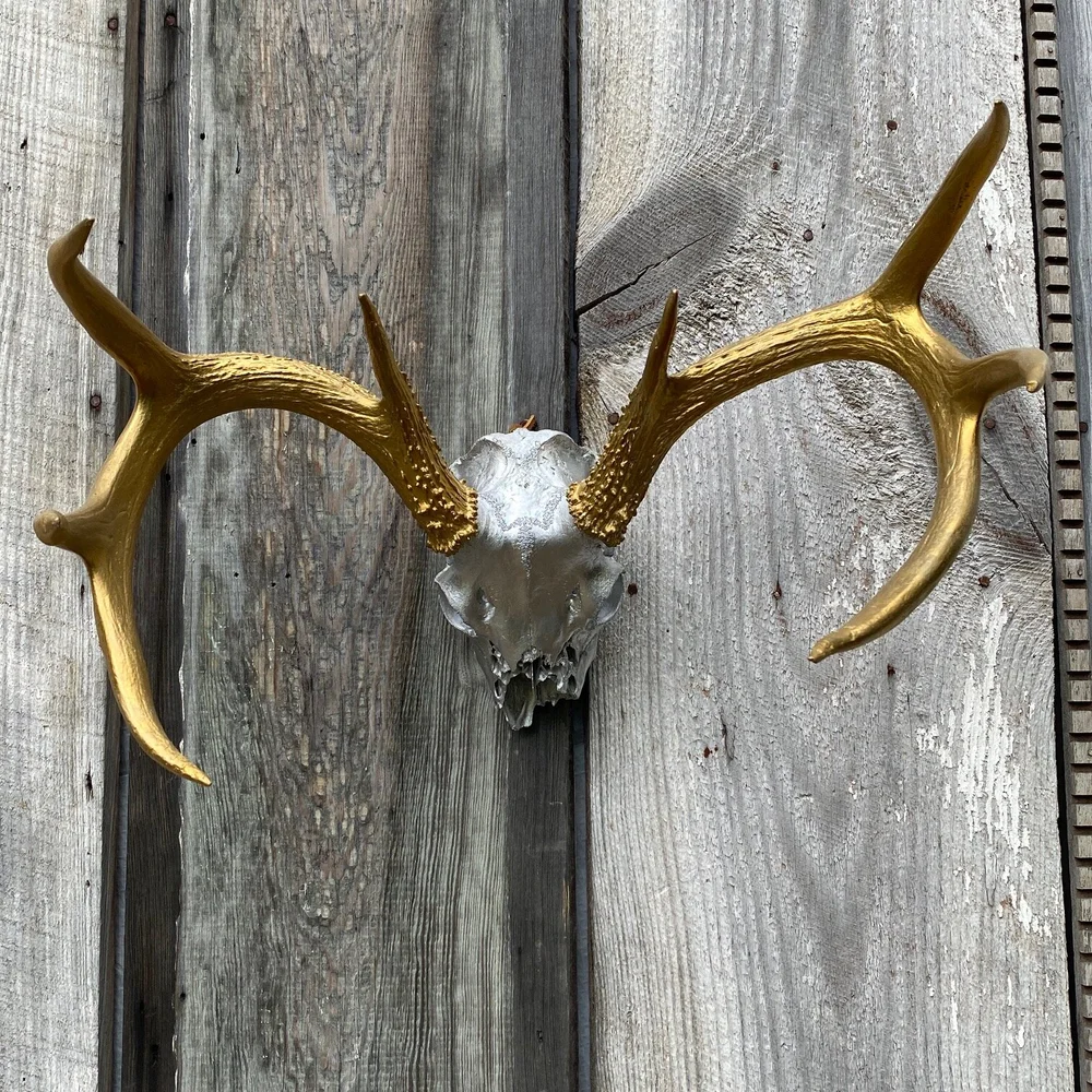 Painted Deer Skull Mount