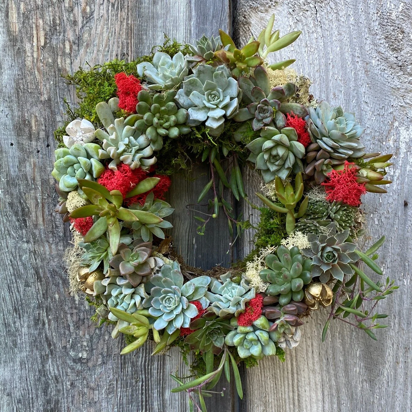 DIY Kits & Materials — Articulture Designs