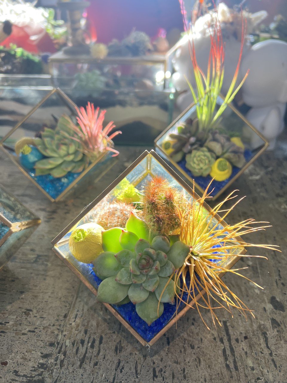 Spring Schedule: Botanical Art Classes - COMING SOON — Articulture Designs