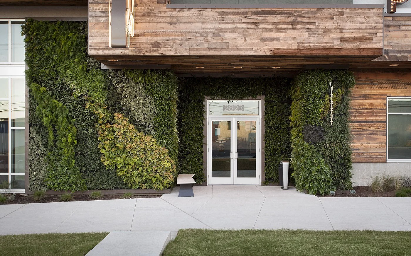 How to Incorporate Biophilic Design into New Construction, Renovations ...