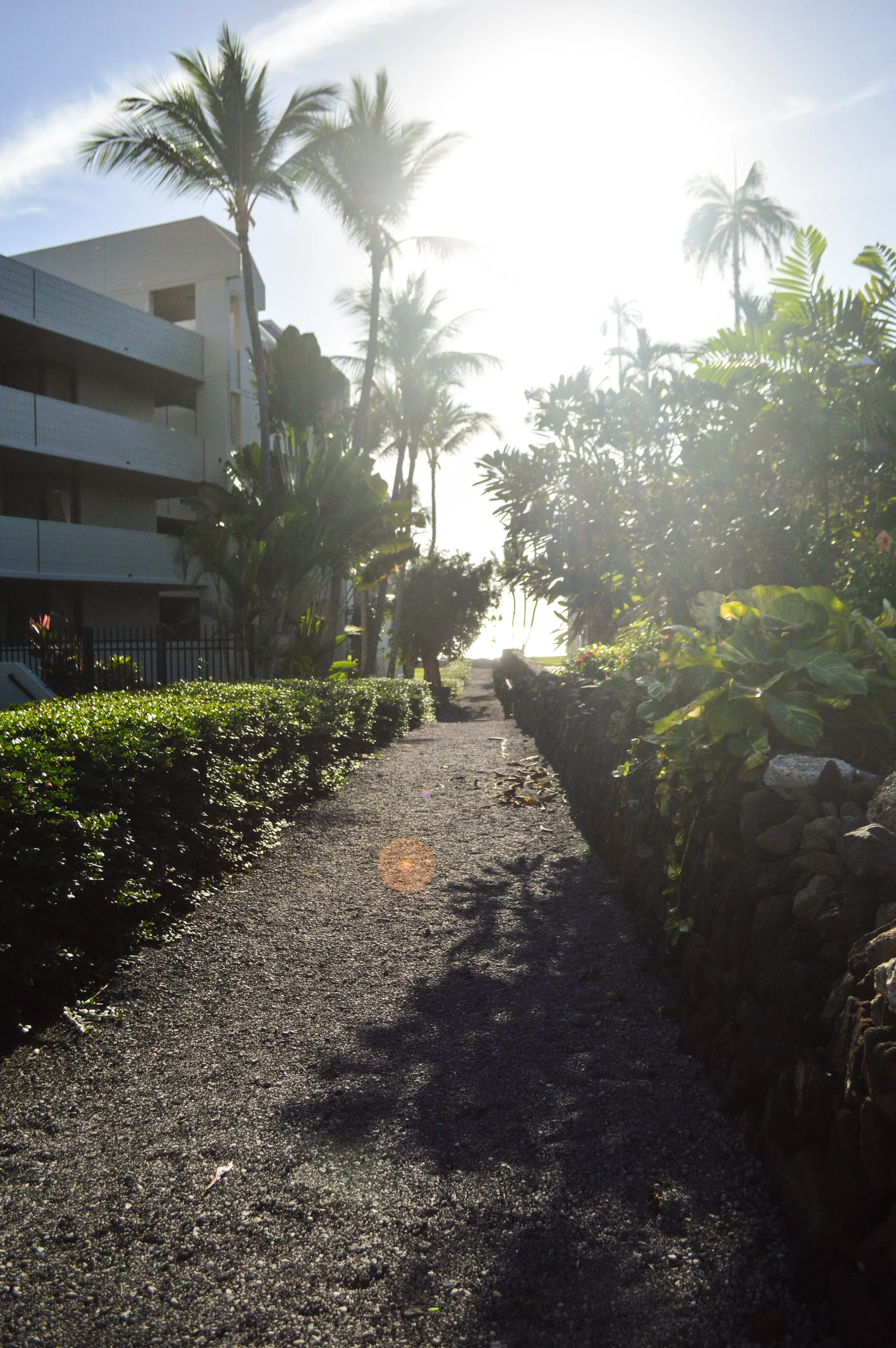 Ali'i Saltwater Pool-Blog-Salt Water Vibes