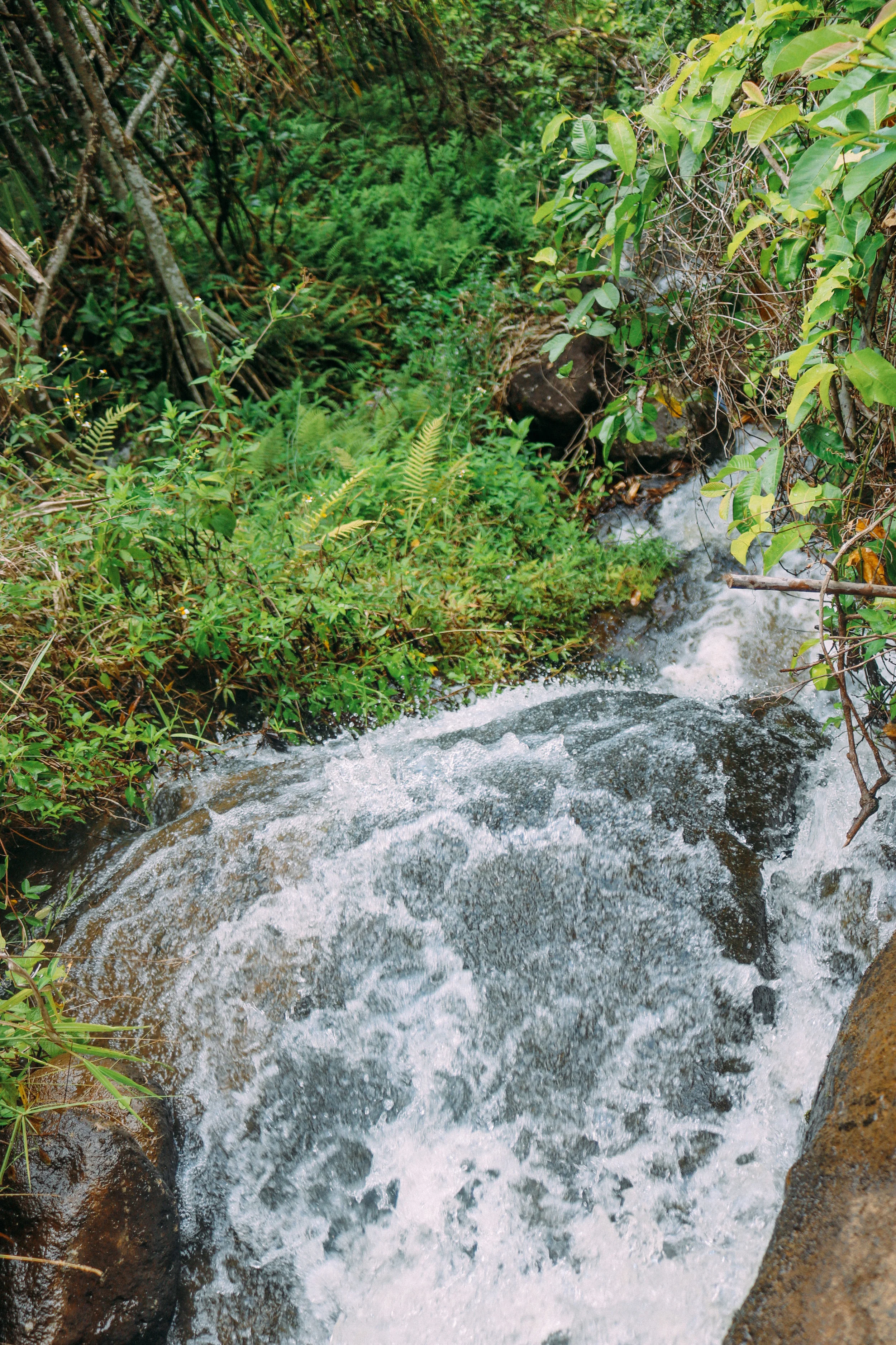 Guide to Hiking the Na Pali Coast-Blog-Salt Water Vibes