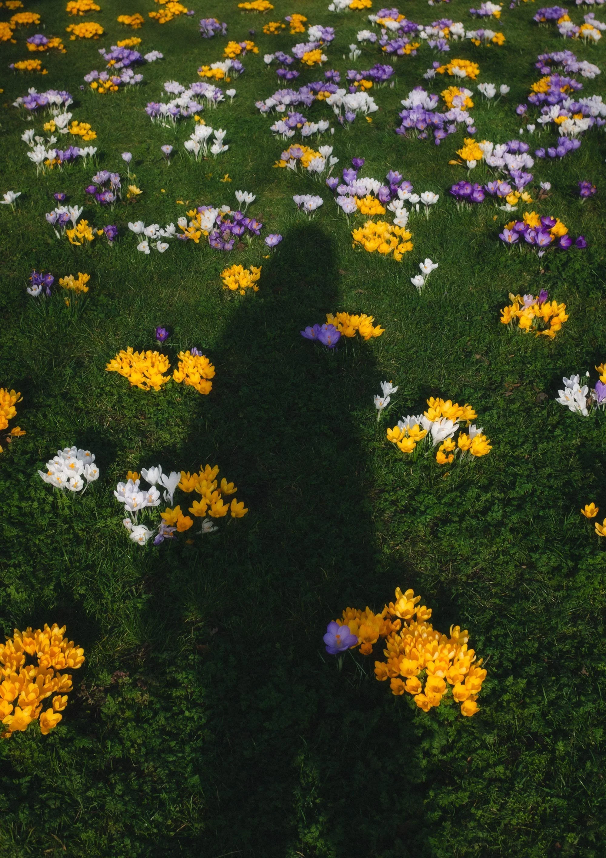 Print shop — Bri Hammond