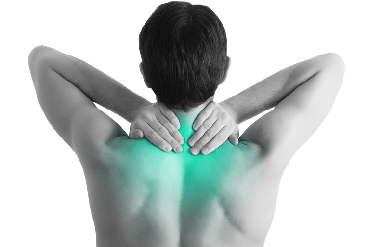 Advanced Bio-structural Correction (ABC™) Chiropractor in Orchard ...