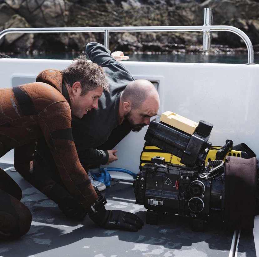 Dominic Joyce Film | About