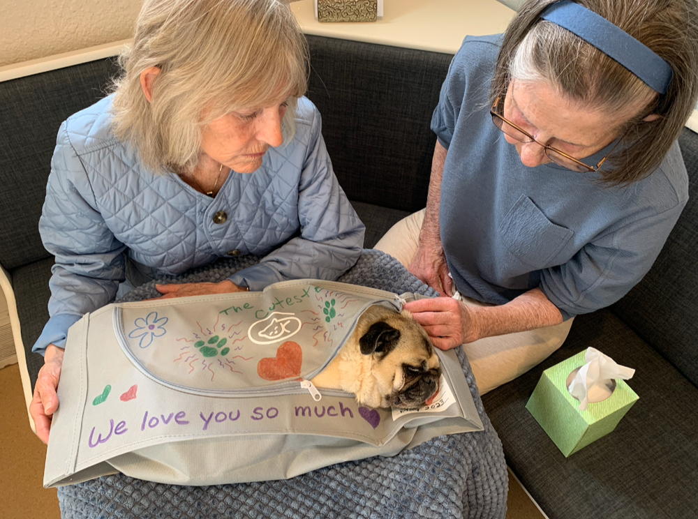 How do you begin to grieve for your pet? - Euthabag