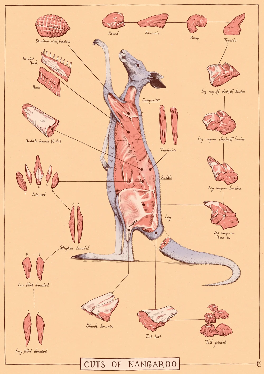 Australia in front - Cuts of Kangaroo — Chris Edser