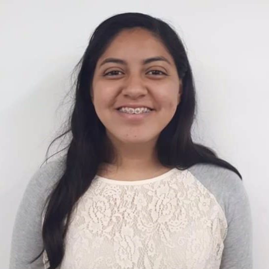 5.1 Alice OSE Exoskeleton — INDI by Jesús TAMEZ-DUQUE