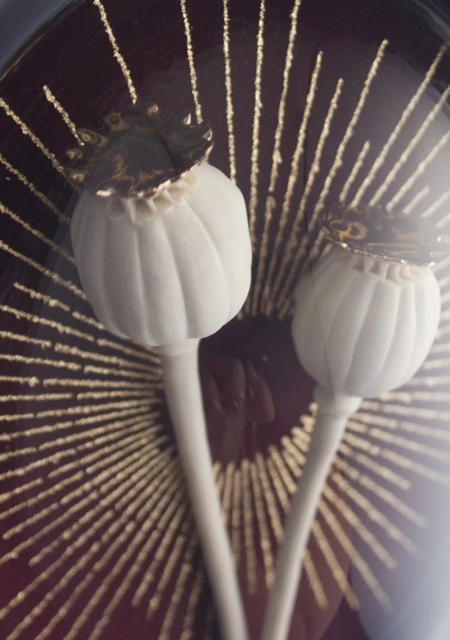 Shop — Lana Filippone