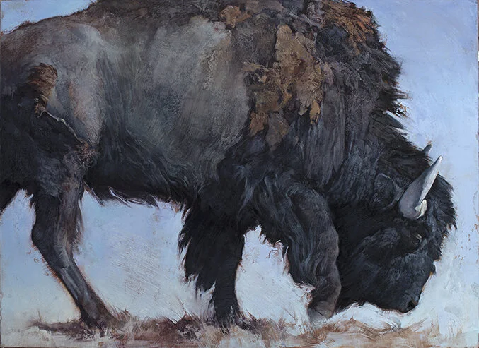 bovine — Jill Soukup