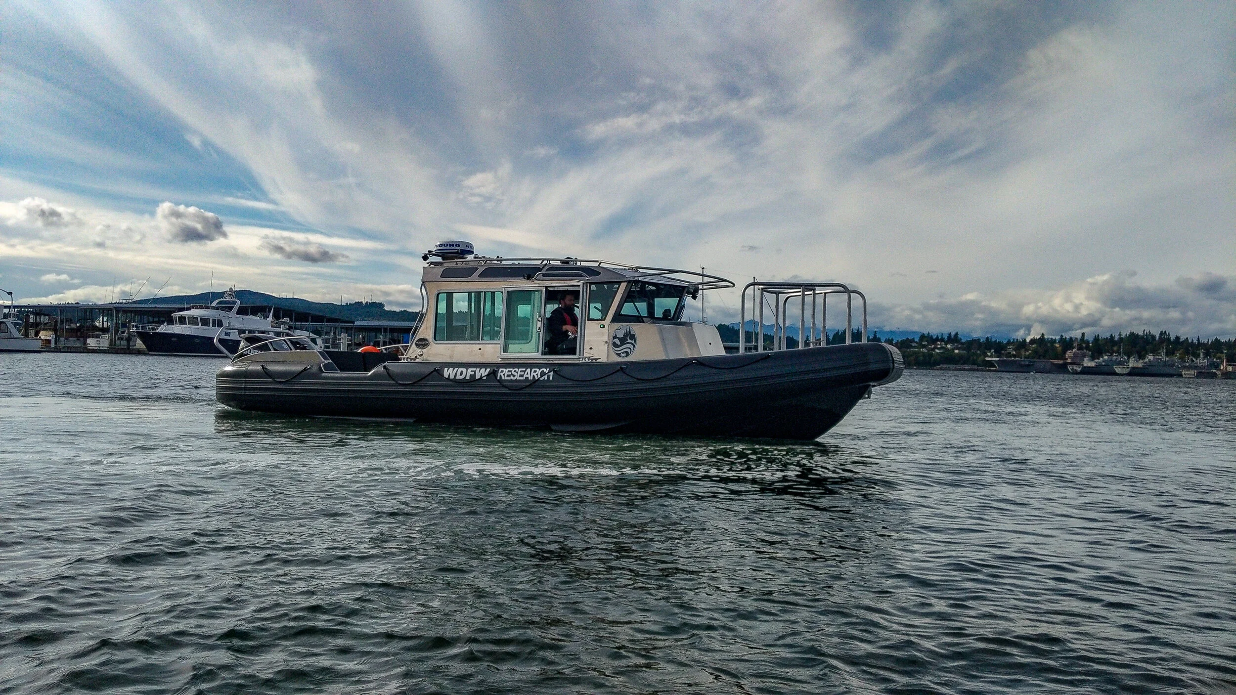 31 & 33 Full Cabins PRO — LIFE PROOF BOATS