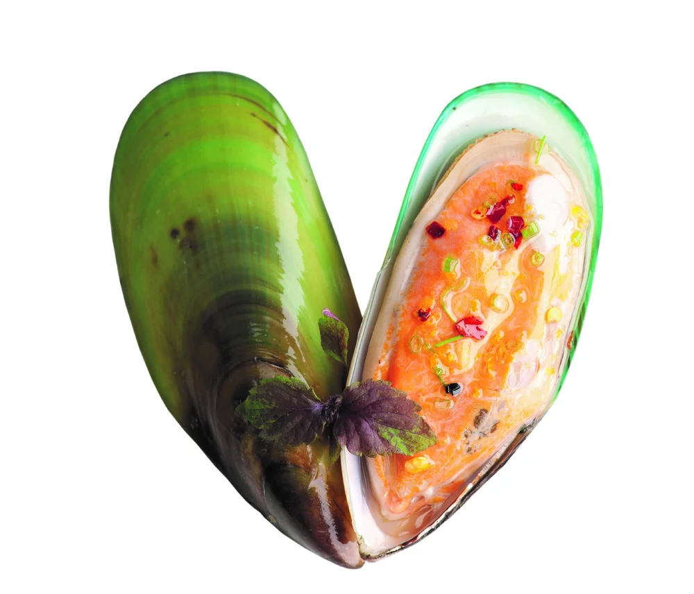 Sustainable Species — A Plus New Zealand Sustainable Aquaculture ...