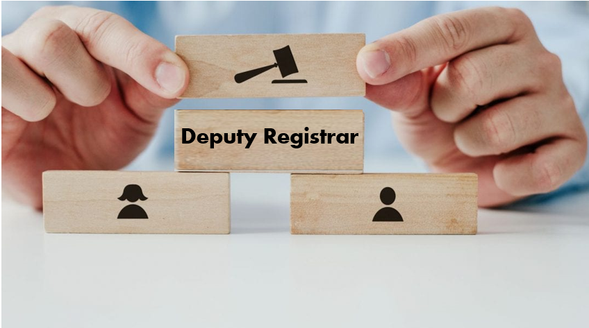 Preliminary Conference: Key Steps and Expectations