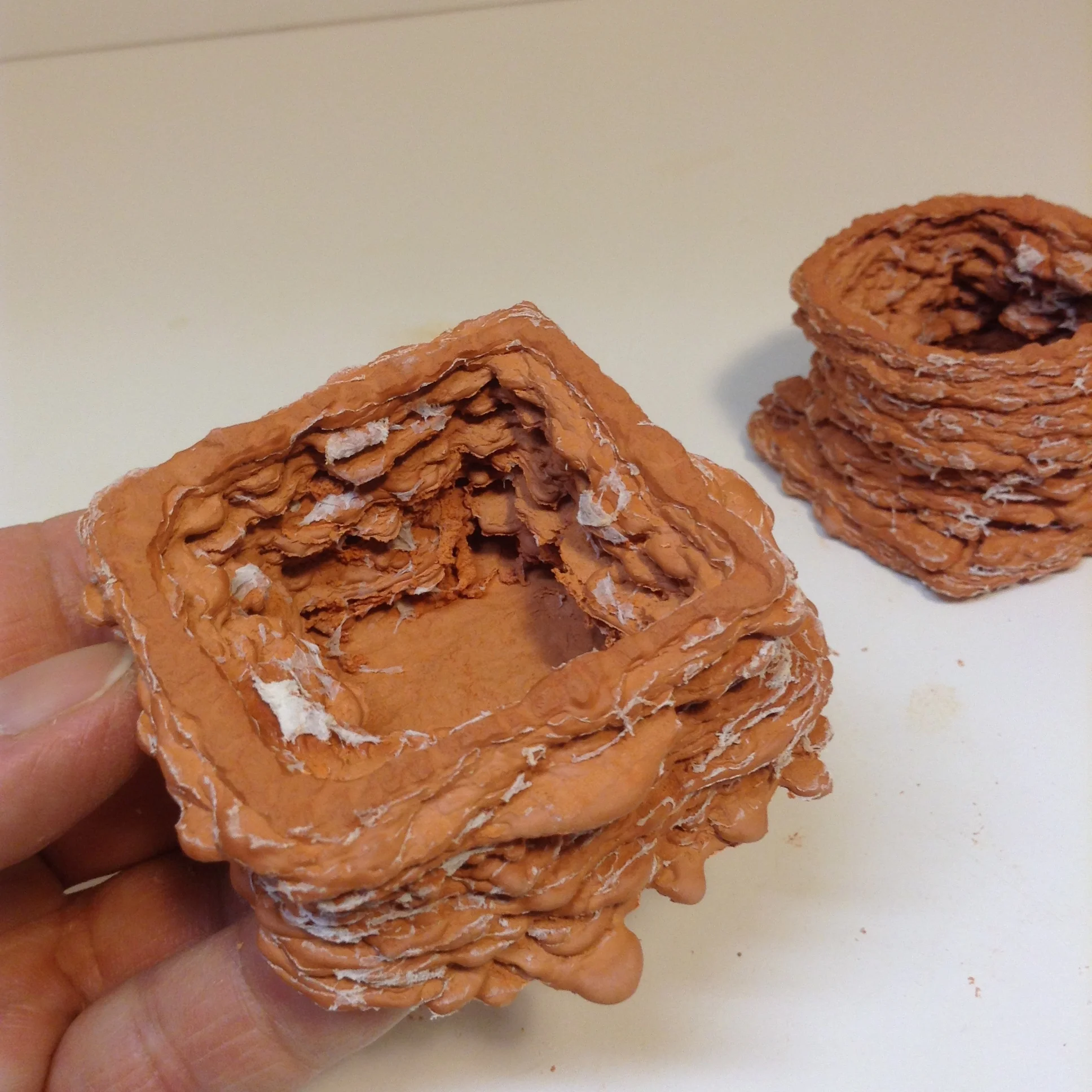 Hand-printed, thickened clay slip becomes dimensional with paper ...