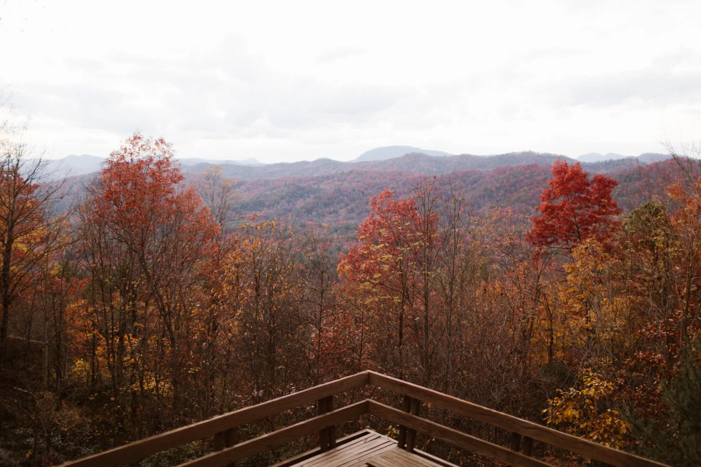 Service Opportunities — Ridge Haven