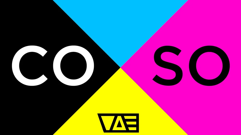 COSO 2023 BIENNIAL: CALL FOR ART — VAE RALEIGH