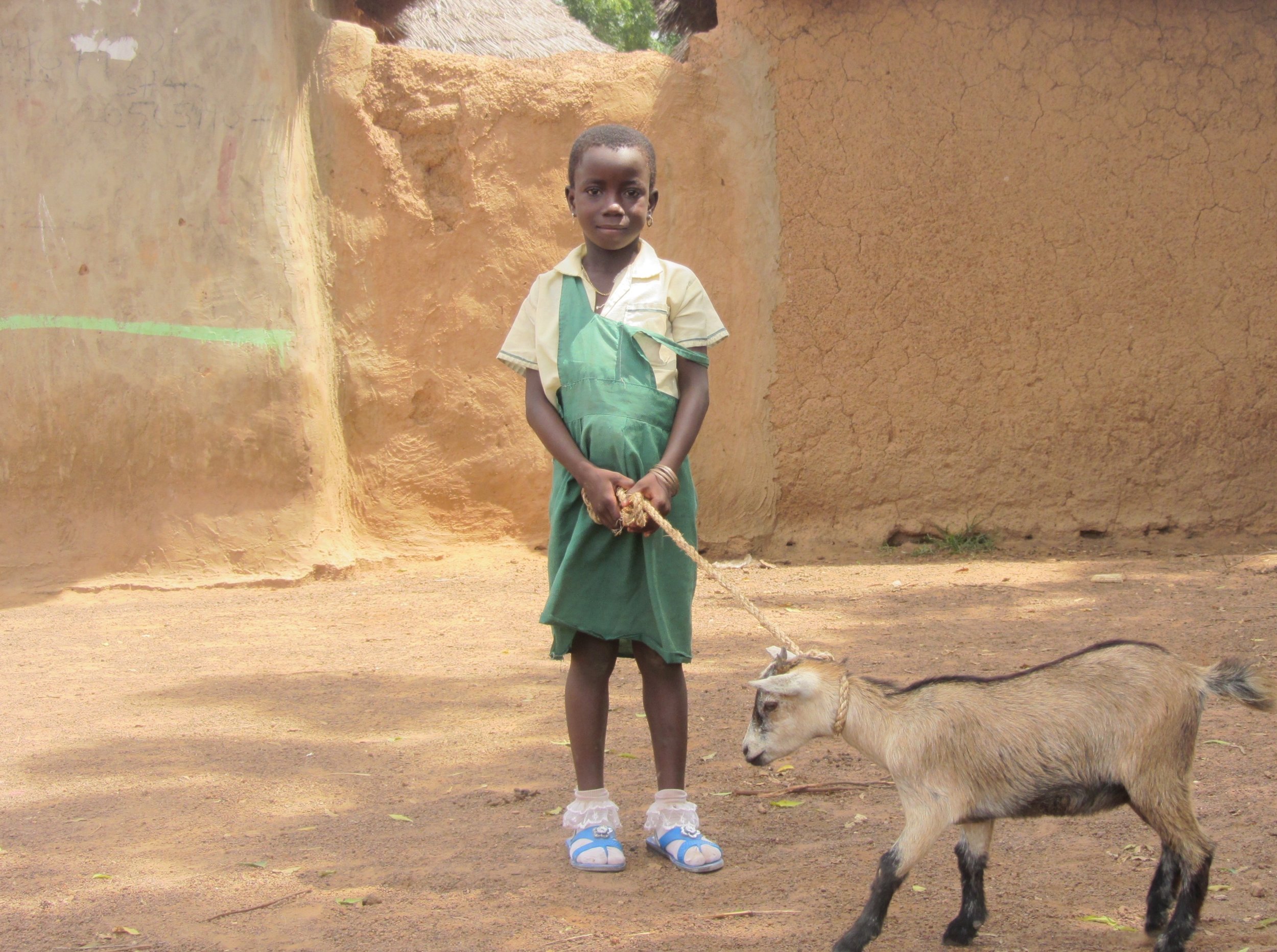 The Goat Project —Call of Hope US