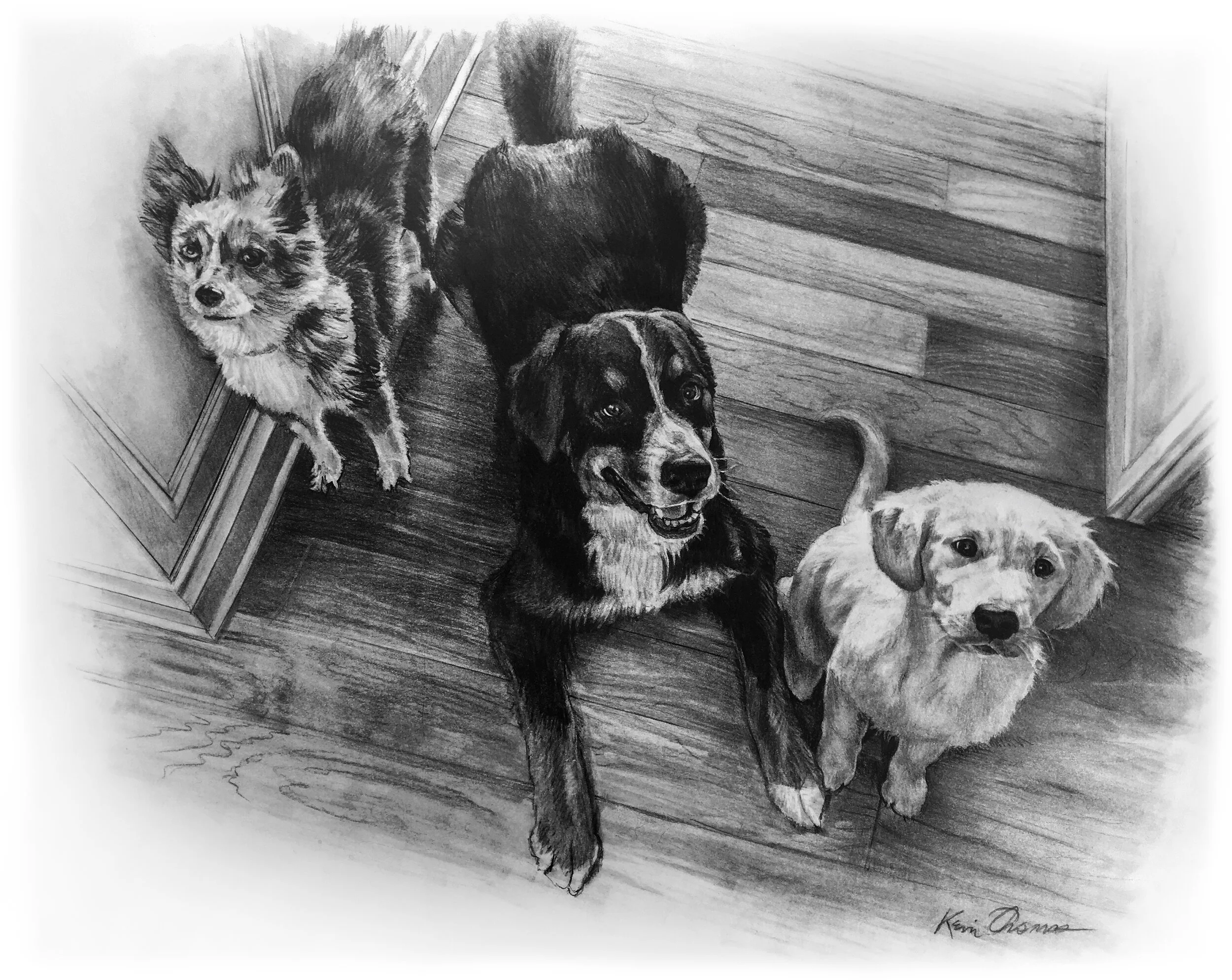 Charcoal • Graphite • Pen & Ink — kevinthomasartist