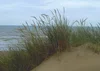 Our Story — Marram Health Center