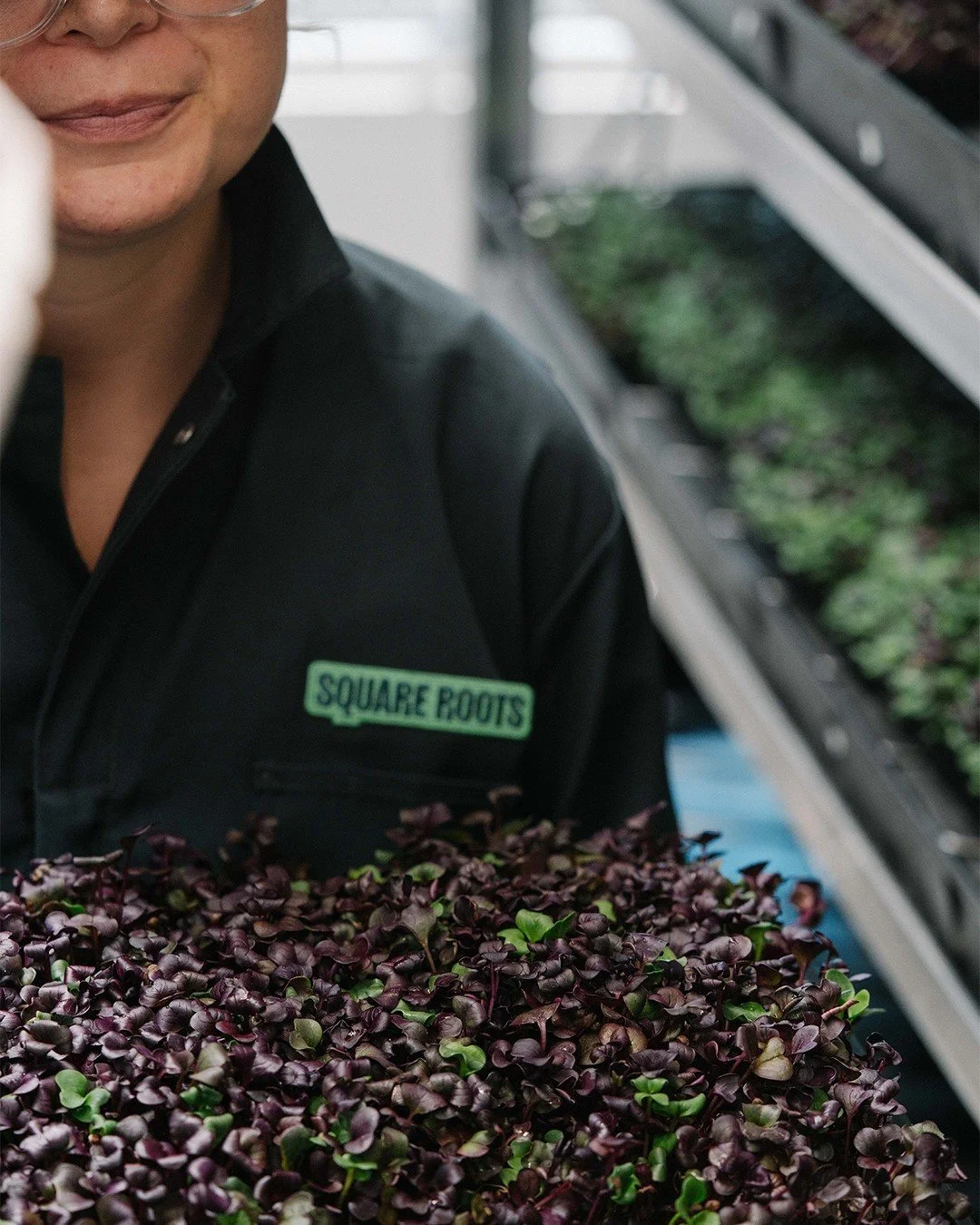 Square Roots v3 — Via Chicago