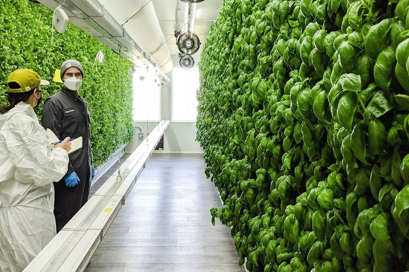 Square Roots v2 — Via Chicago