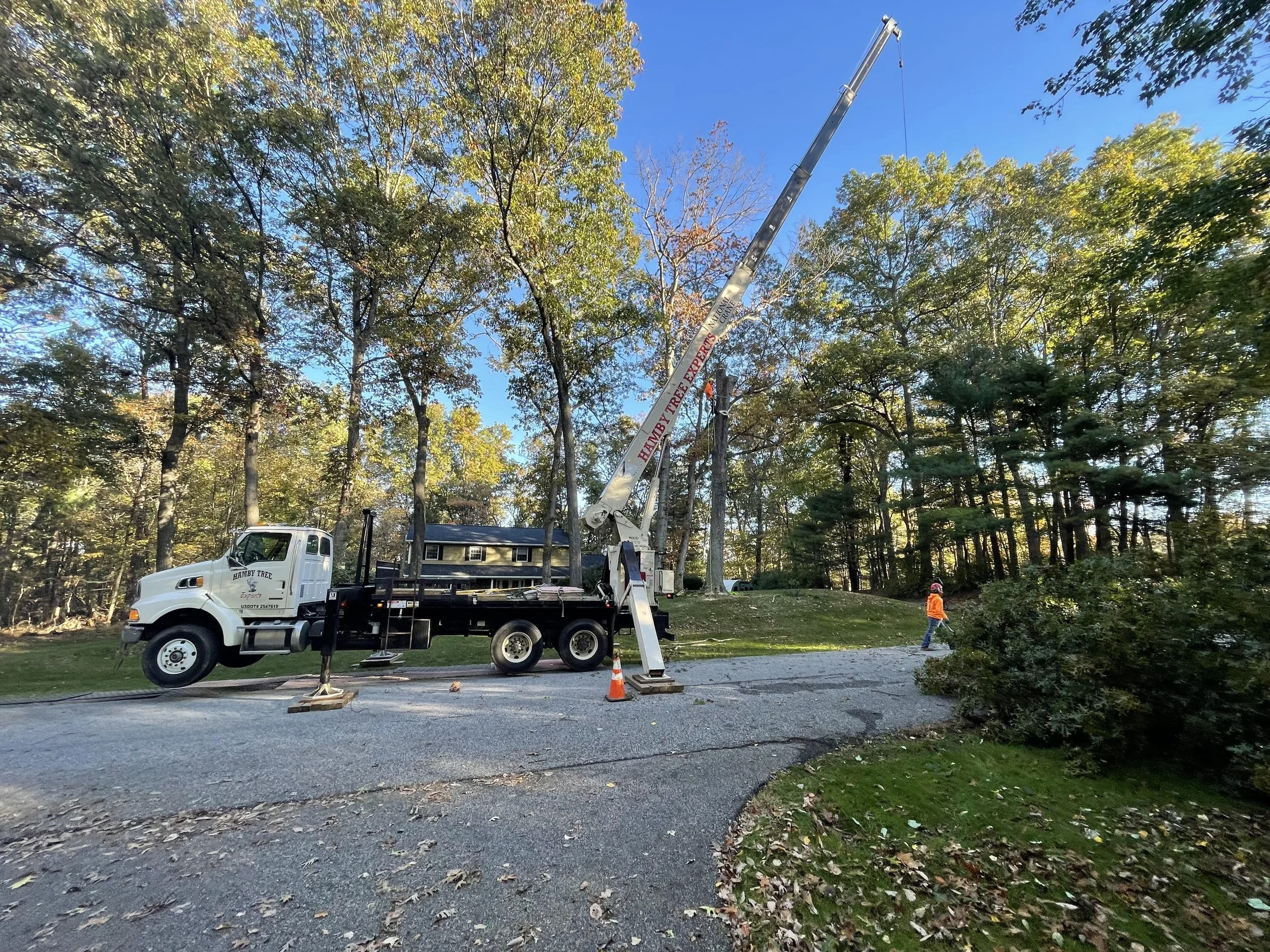 Hamby Tree Experts Blog-Gallery